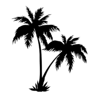 Flower – Palm Tree's Menu
